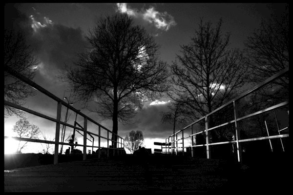 Kodak Technical Pan – Photography Contrastique – Alternative ...